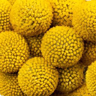 Flowers Poster- Esmeralda Wholesale Flowers