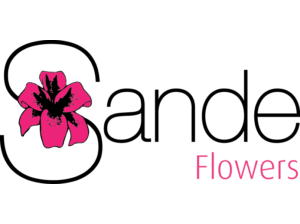 Silver Tint - Rice Flower - Esmeralda Farms Wholesale Flowers